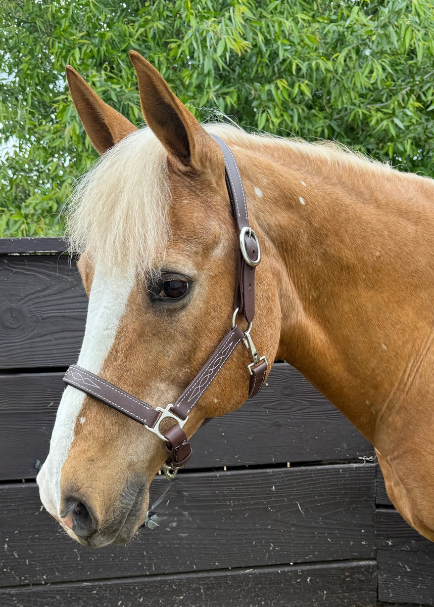 Mackey Classic PVC Breakaway Halter – MackeyUSA