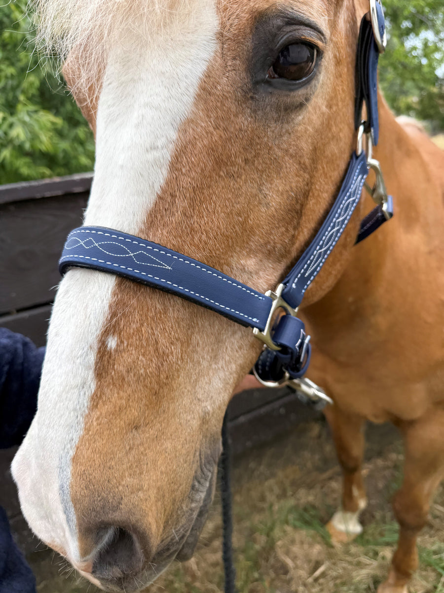 Mackey Classic PVC Breakaway Halter – MackeyUSA