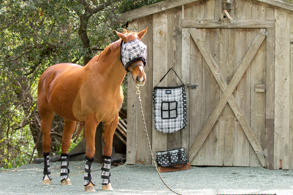 Dandy Fly Boots – MackeyUSA